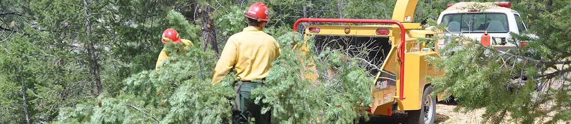 Mitigation - Boulder ODM